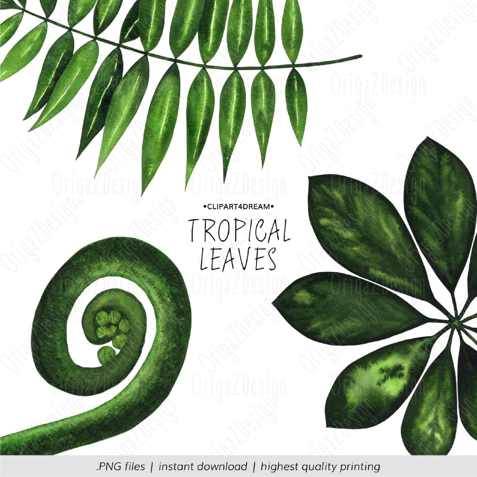 Tropical Leaf Clipart, Tropical Leaves Clipart Monstera Palm Leaf ...