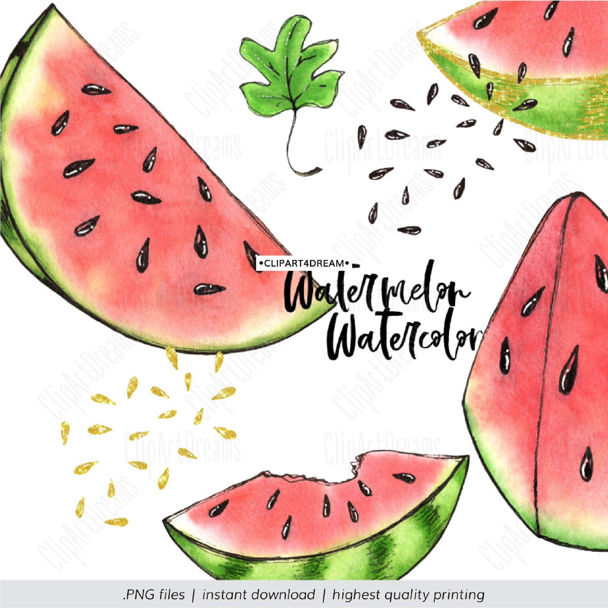 Watermelon Clipart Watercolor, Watermelon Picnic Ice Cream Birthday ...