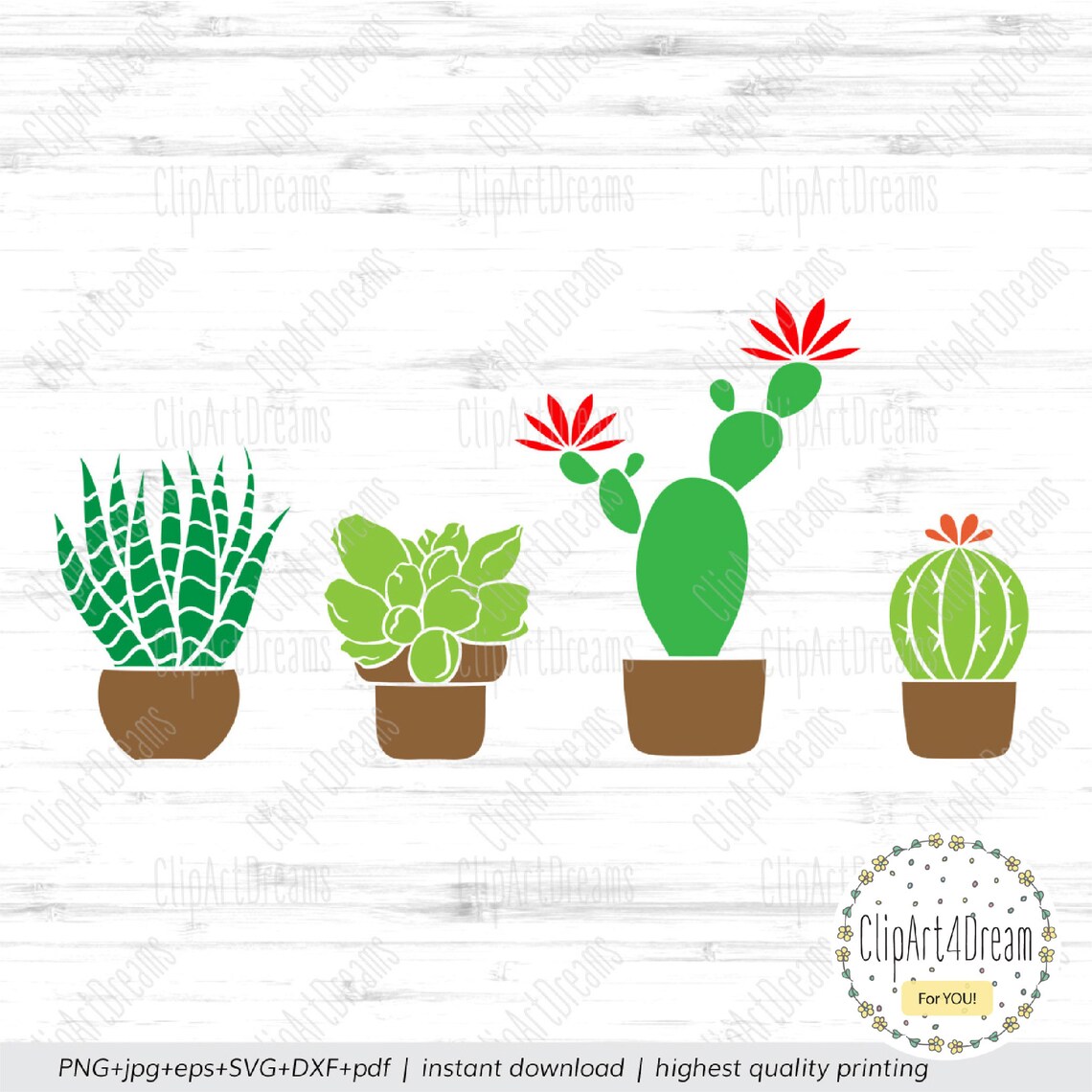 Cactus Svg, Succulent Svg Cacti Pot Boho Clipart Cut Files for Cricut ...