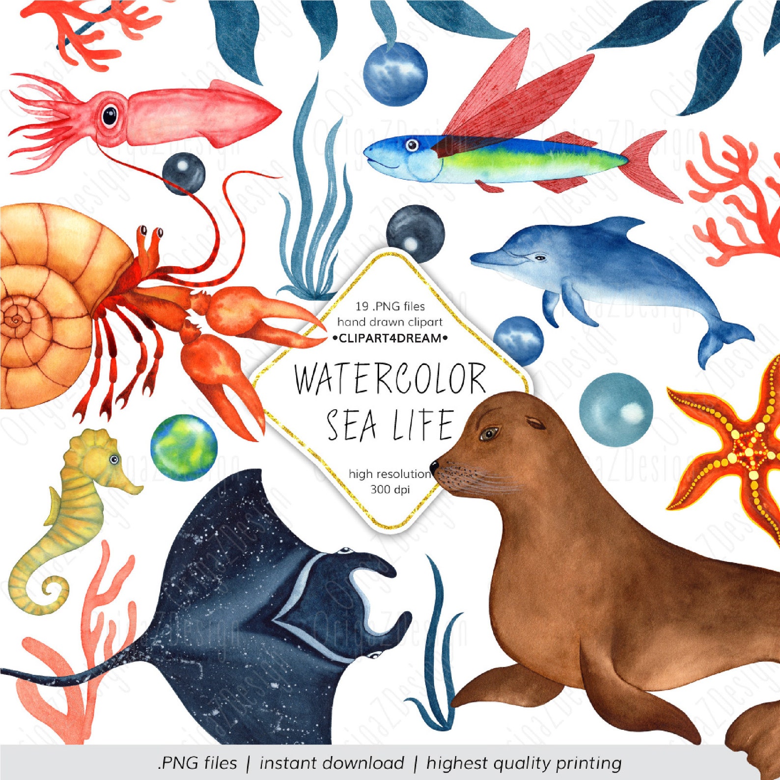 Under the Sea Animals Life Watercolor Nautical Clipart Fish Sea Horse ...