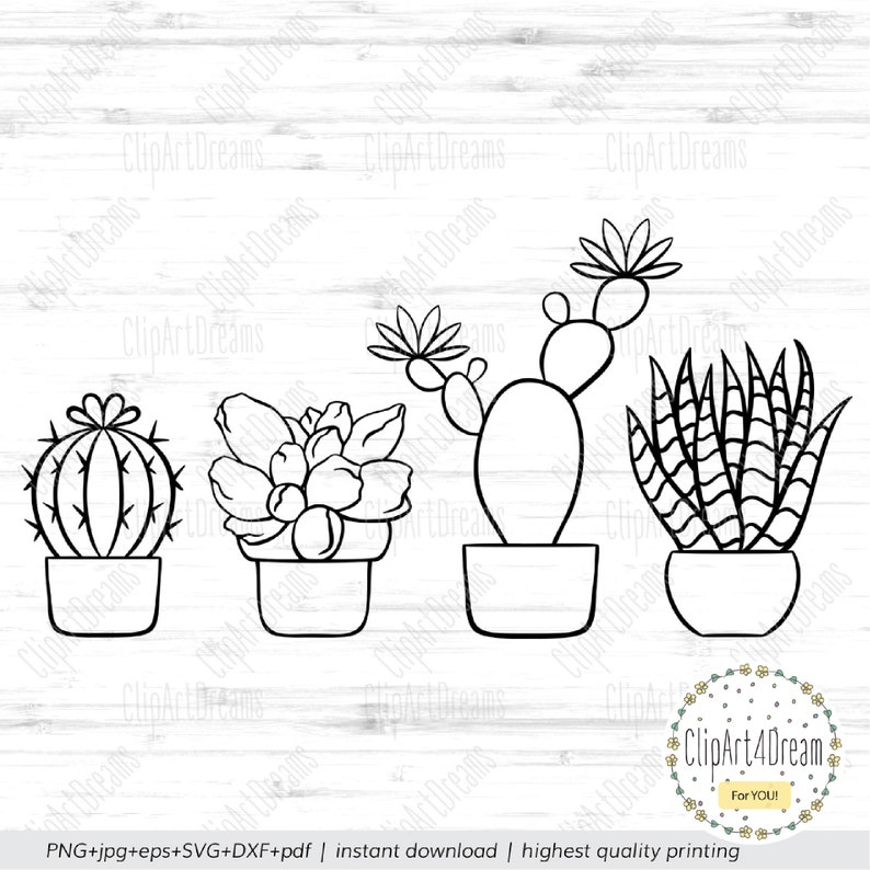 Cactus Svg, Succulent Svg Cacti Pot Boho Clipart Cut Files for Cricut ...