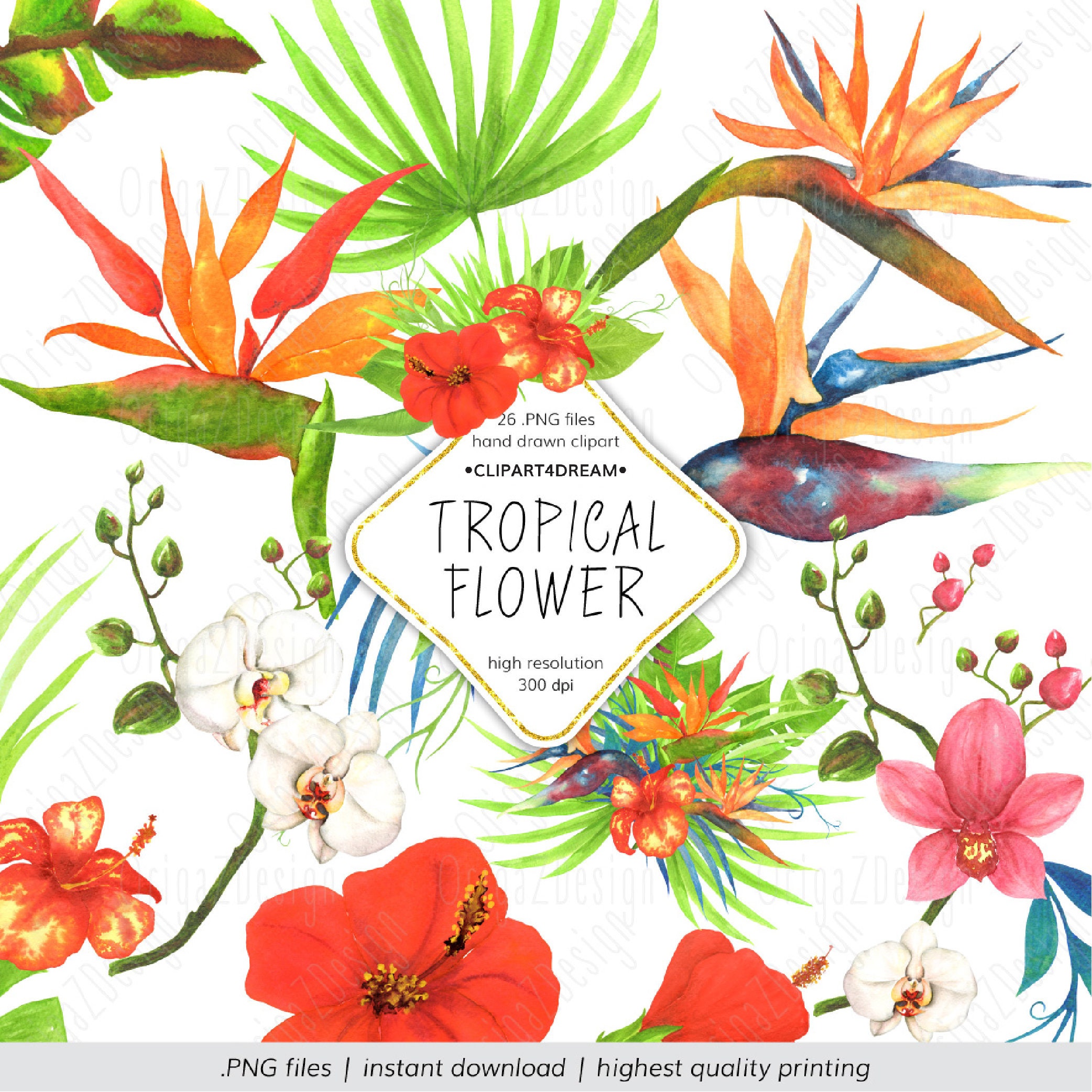 Tropical Clipart Floral Watercolor Exotic Flowers Hibiscus Orchid Bird ...