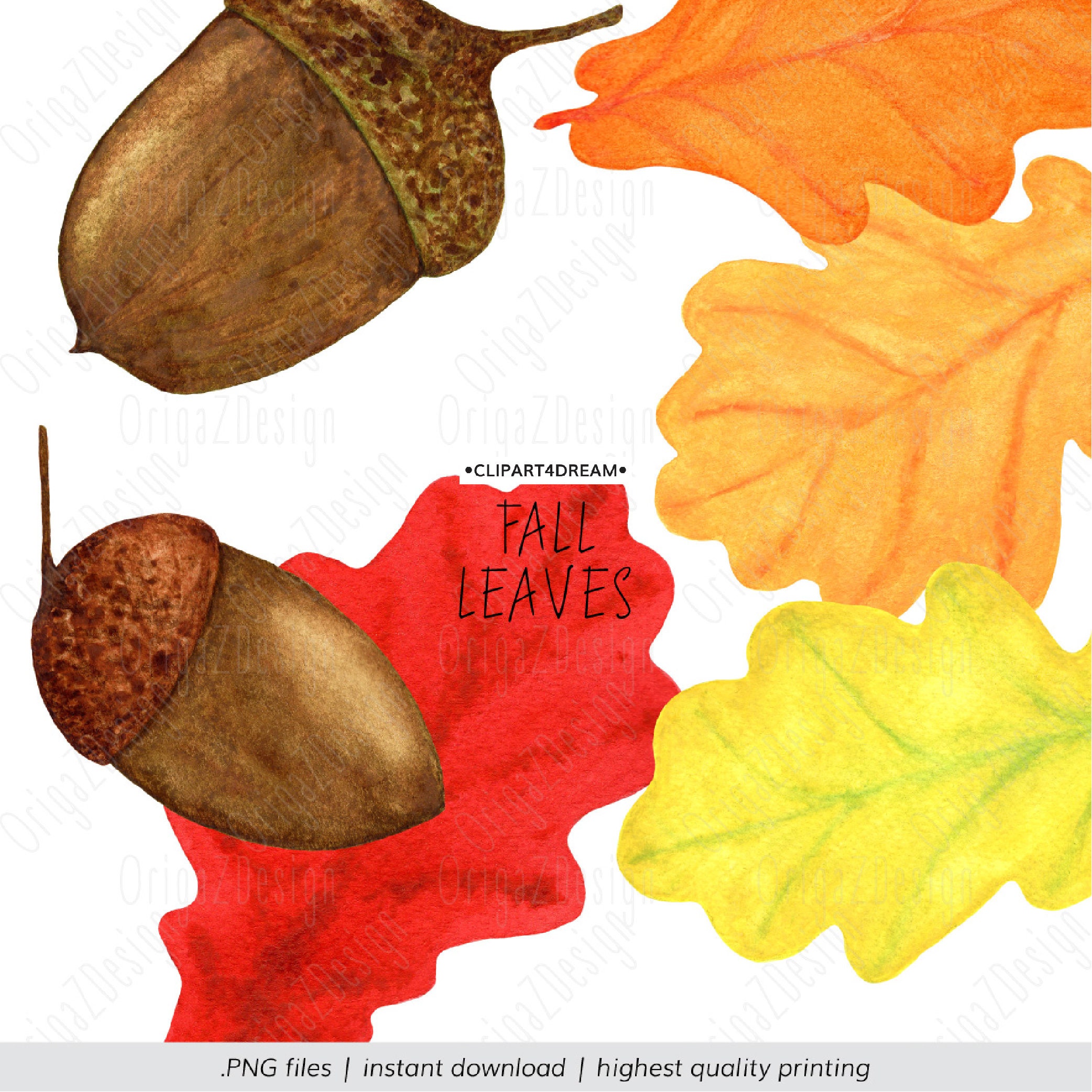 Cozy Autumn Leaves Clipart Fall Seasonal Watercolor Branches Red Berry ...