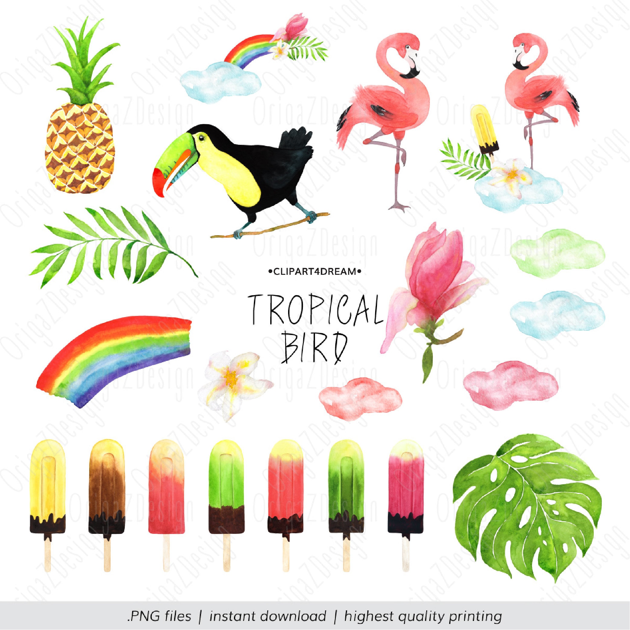 Tropical Bird Clipart, Watercolor Hawaii Flowers Toucan Flamingo ...