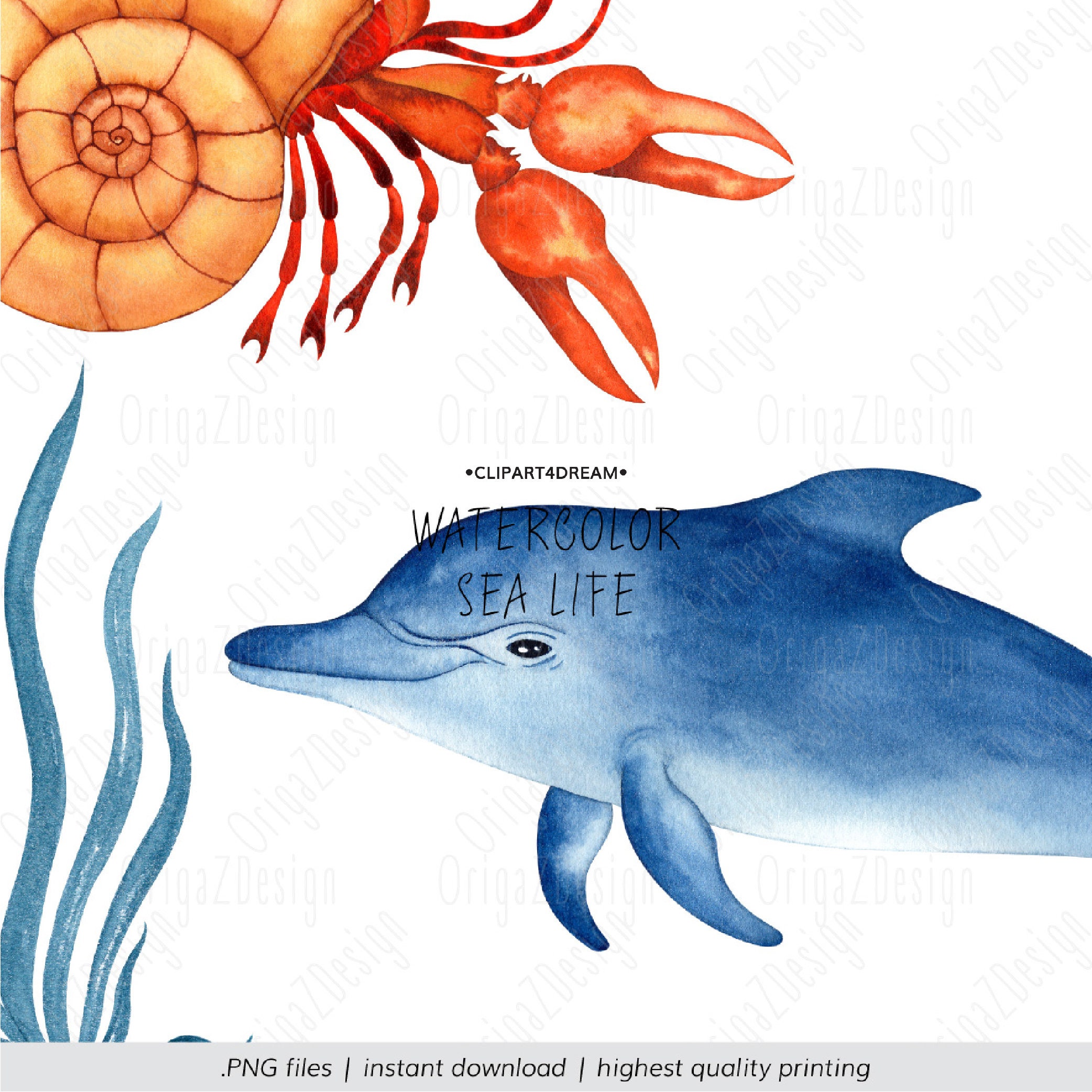 Under the Sea Animals Life Watercolor Nautical Clipart Fish Sea Horse ...