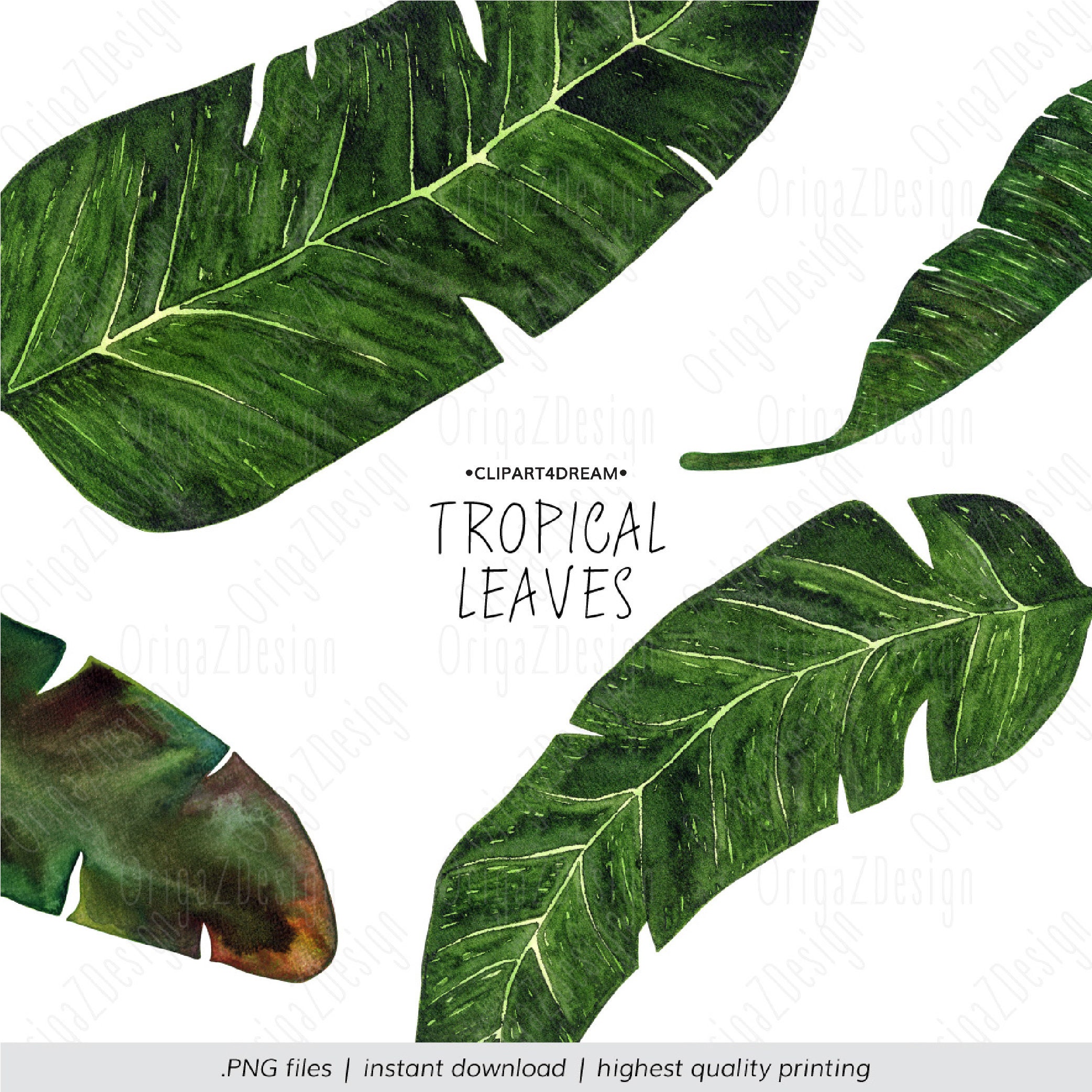 Tropical Leaf Clipart, Tropical Leaves Clipart Monstera Palm Leaf ...