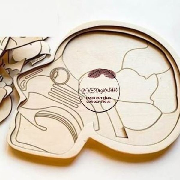 Laser Cut Anatomy Svg - Etsy