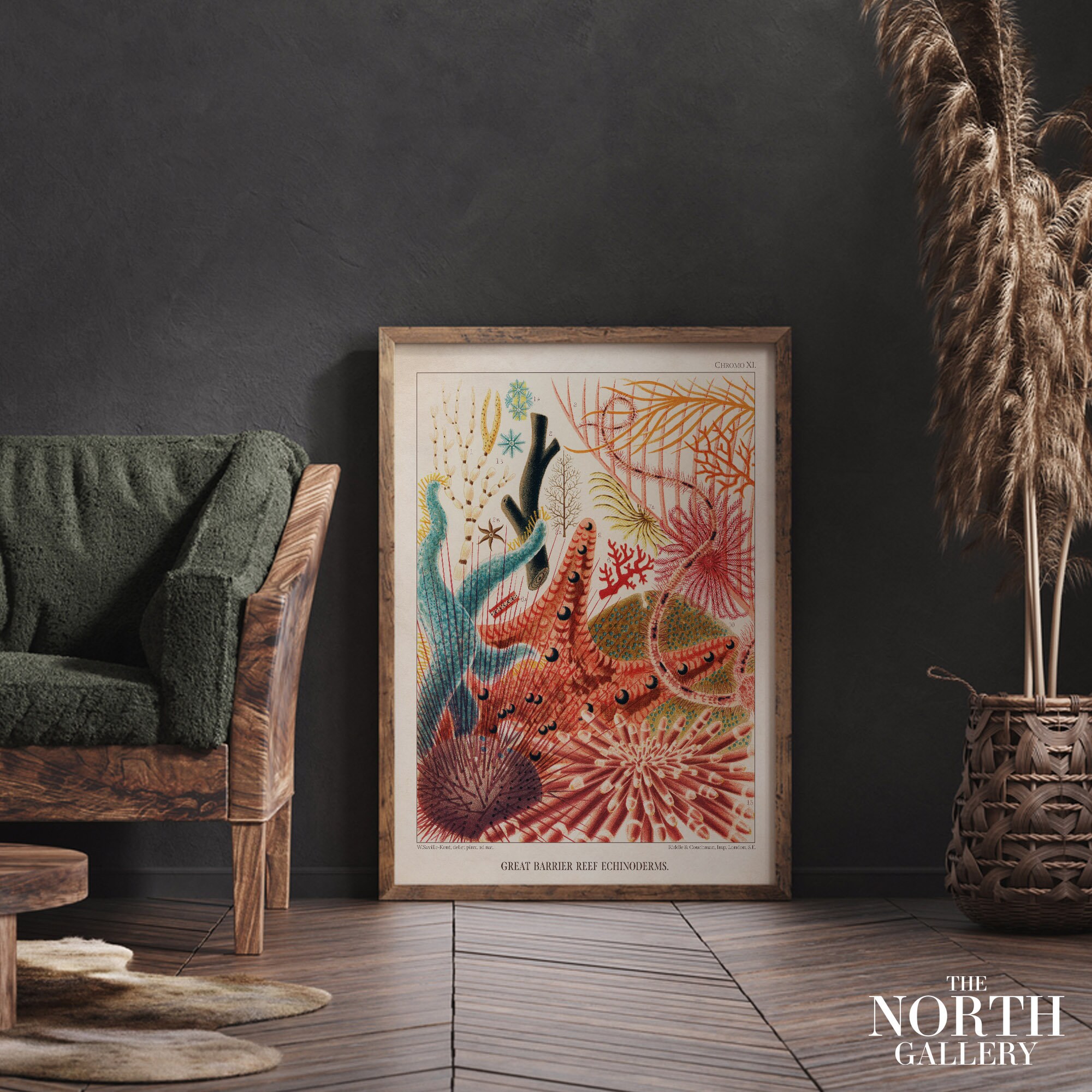 Great Barrier Reef Prints, Vintage Sea Coral Print, Fish Poster, Reef ...