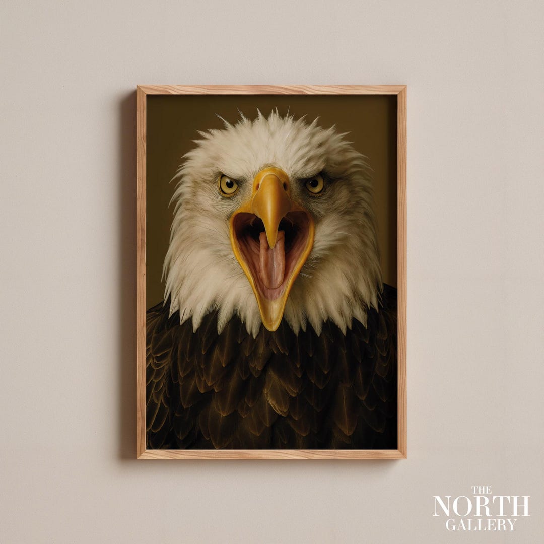 Screaming Bald Eagle Print, Close-up Open Beak Raptor Poster, Dynamic ...