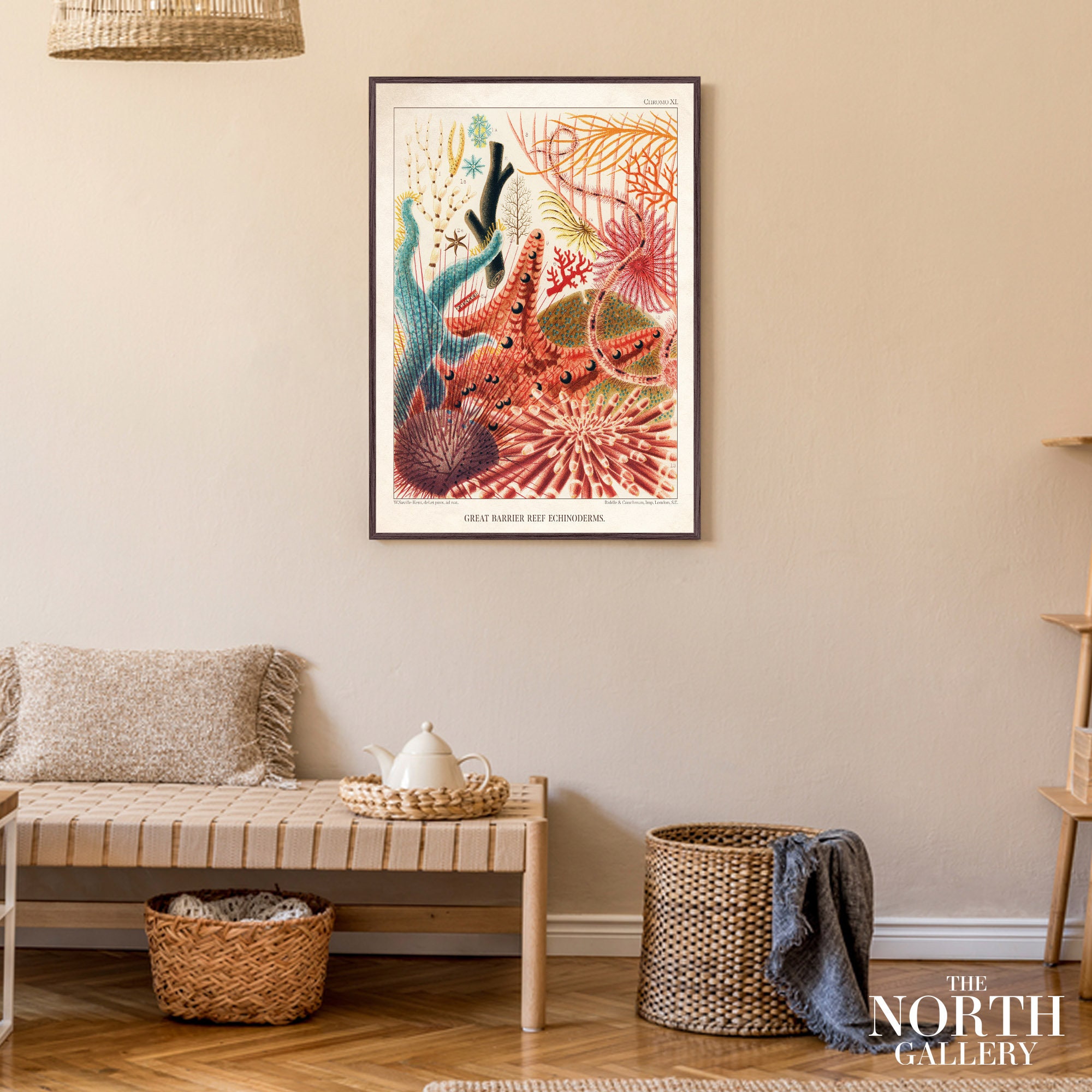 Great Barrier Reef Prints, Vintage Sea Coral Print, Fish Poster, Reef ...