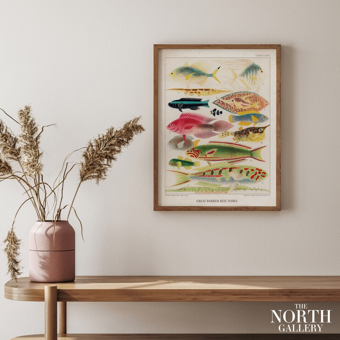 Great Barrier Reef Poster, Vintage Fish Art, Under the Sea, Vintage Sea ...