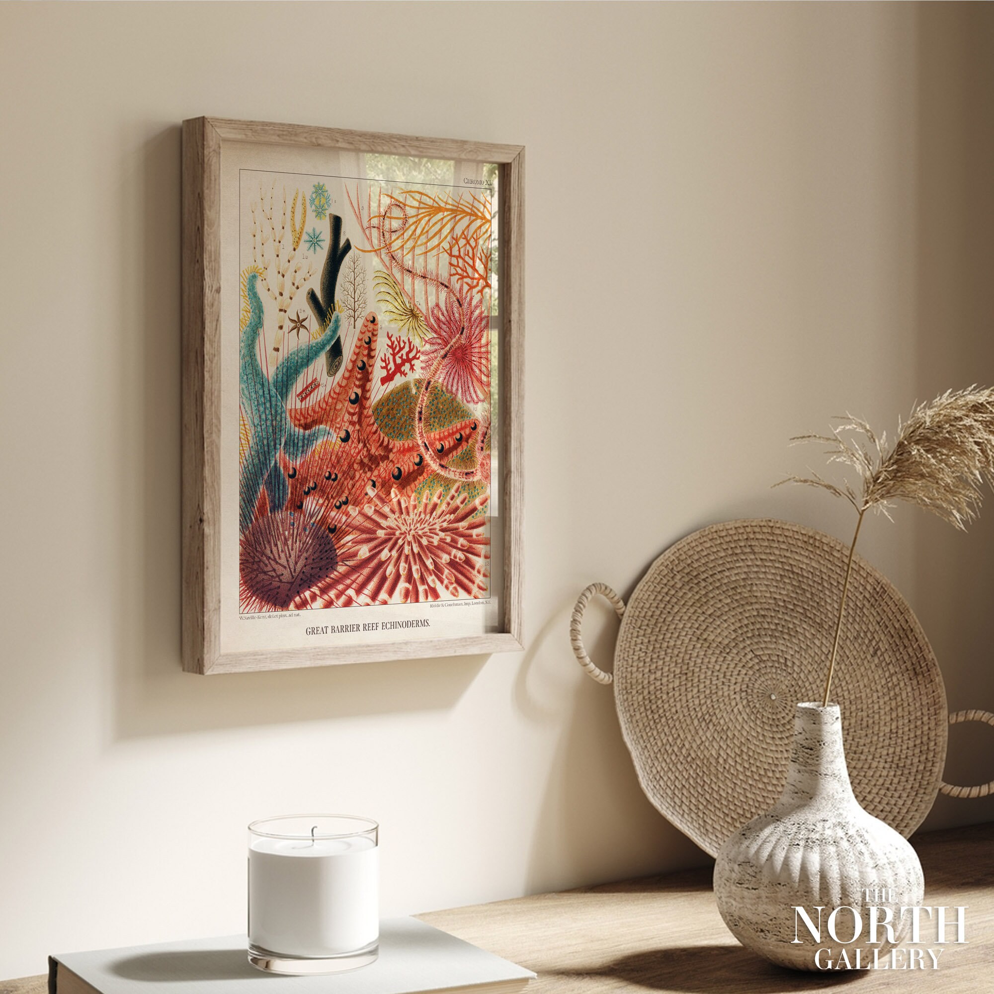 Great Barrier Reef Prints Vintage Sea Coral Print Fish - Etsy