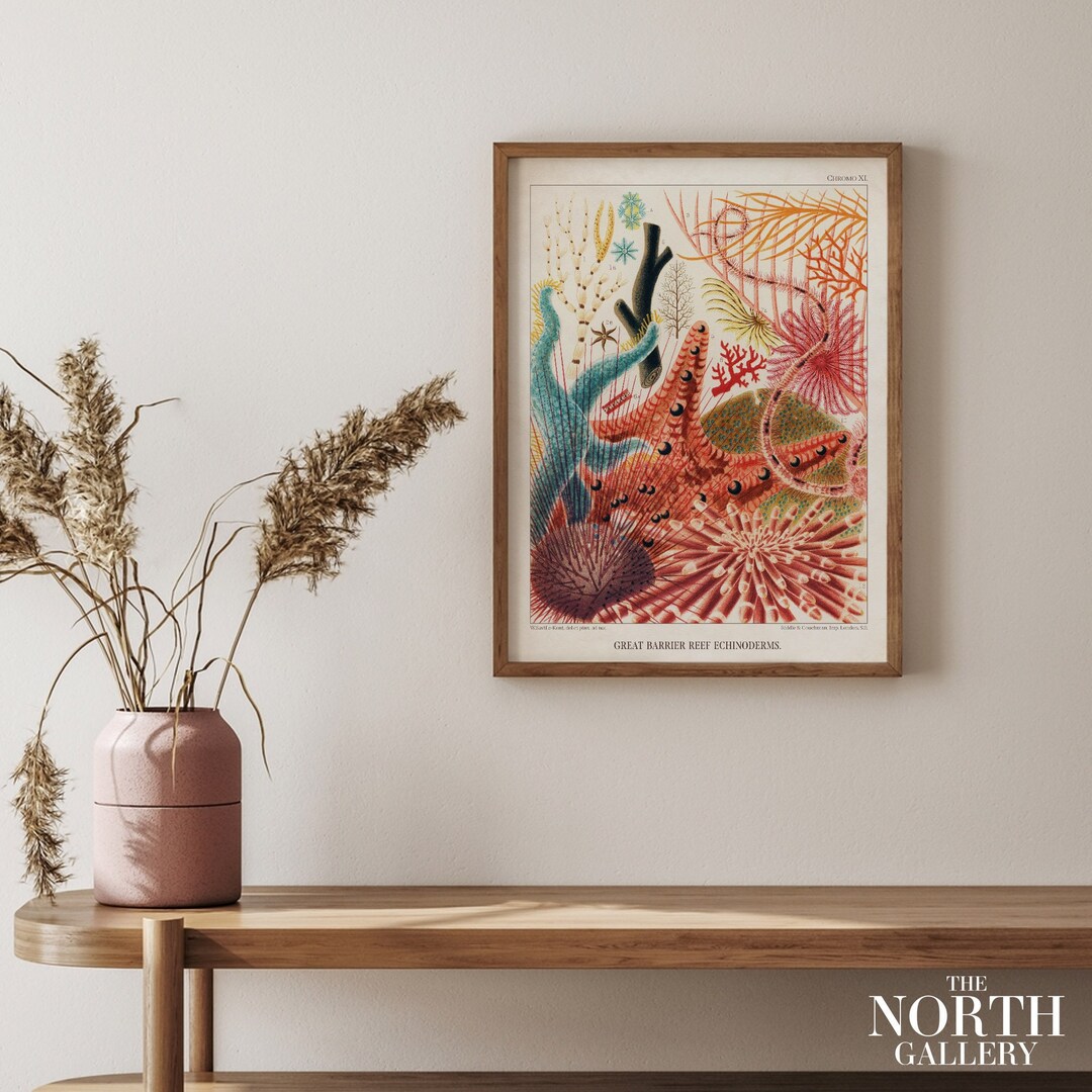 Great Barrier Reef Prints, Vintage Sea Coral Print, Fish Poster, Reef ...