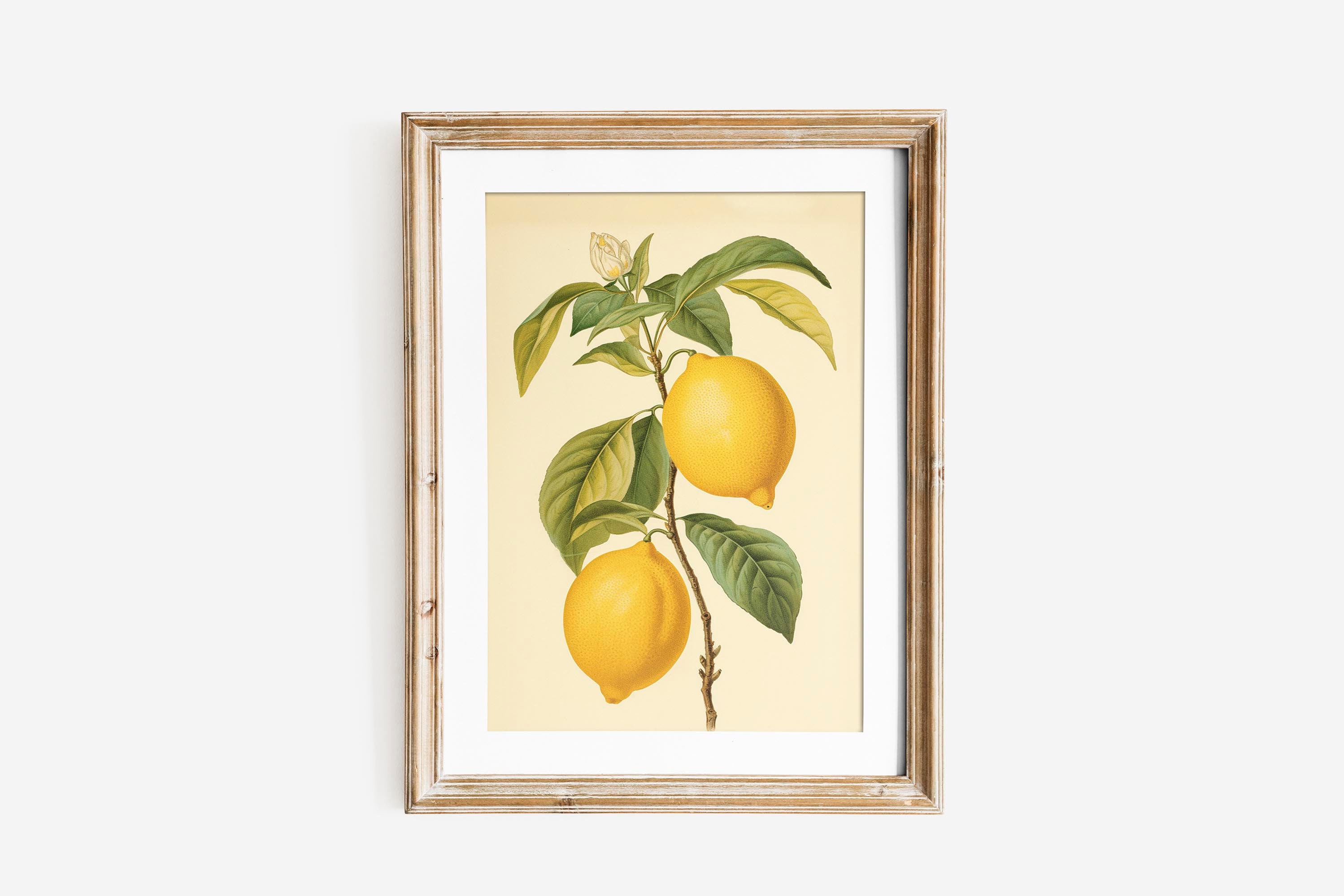 Vintage Lemon Tree Wall Art Kitchen Botanical Art Print Vegetarian Gift ...