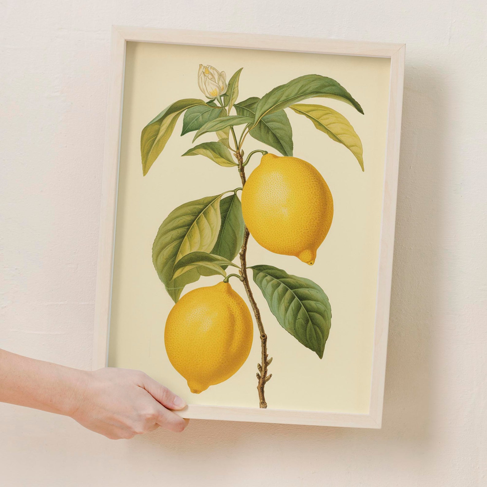 Vintage Lemon Tree Wall Art Kitchen Botanical Art Print Vegetarian Gift ...