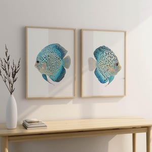 Blue Discus Fish Art Print Set: Watercolor Ocean Wall Decor - Etsy