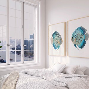 Blue Discus Fish Art Print Set: Watercolor Ocean Wall Decor - Etsy