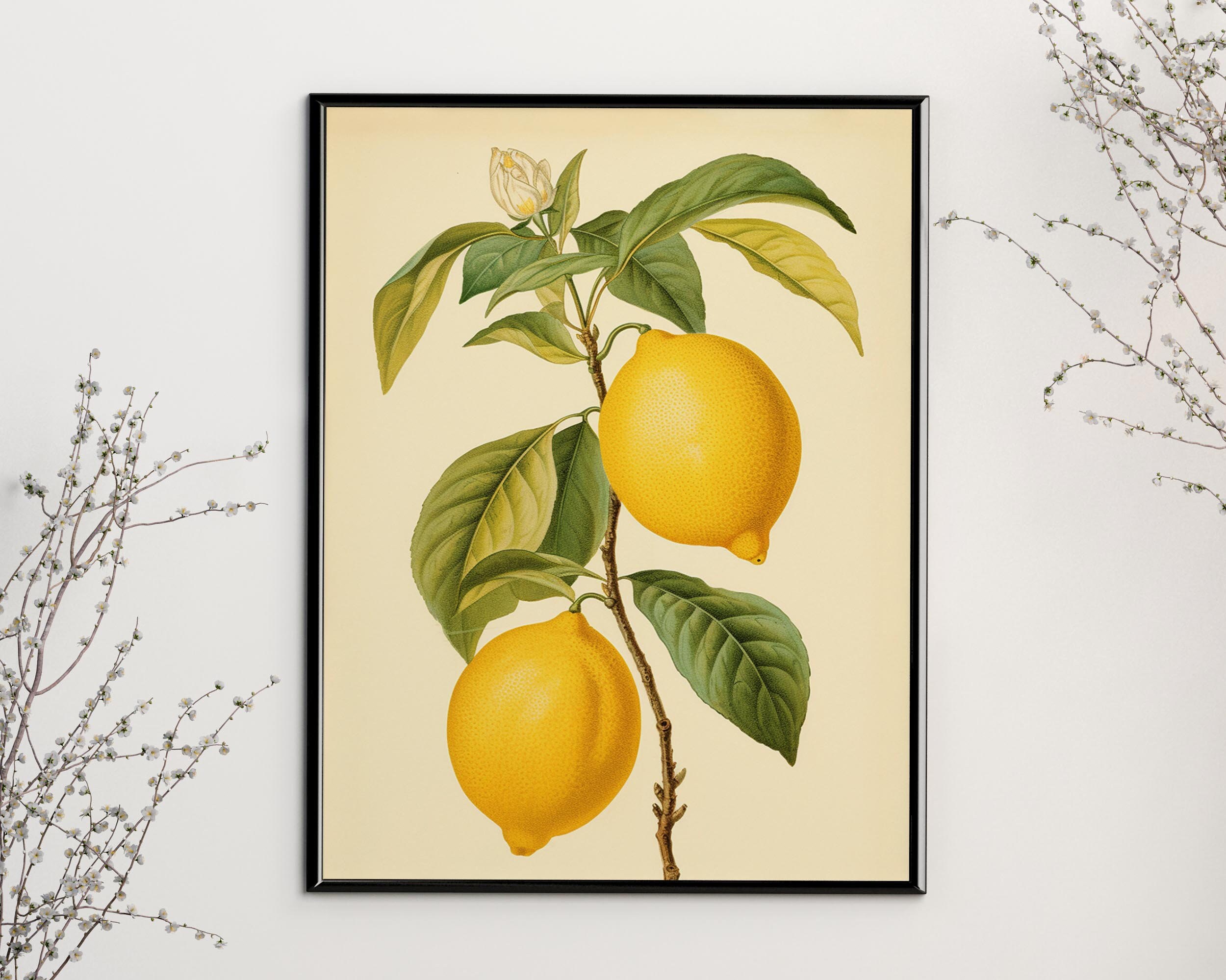 Vintage Lemon Tree Wall Art Kitchen Botanical Art Print Vegetarian Gift ...