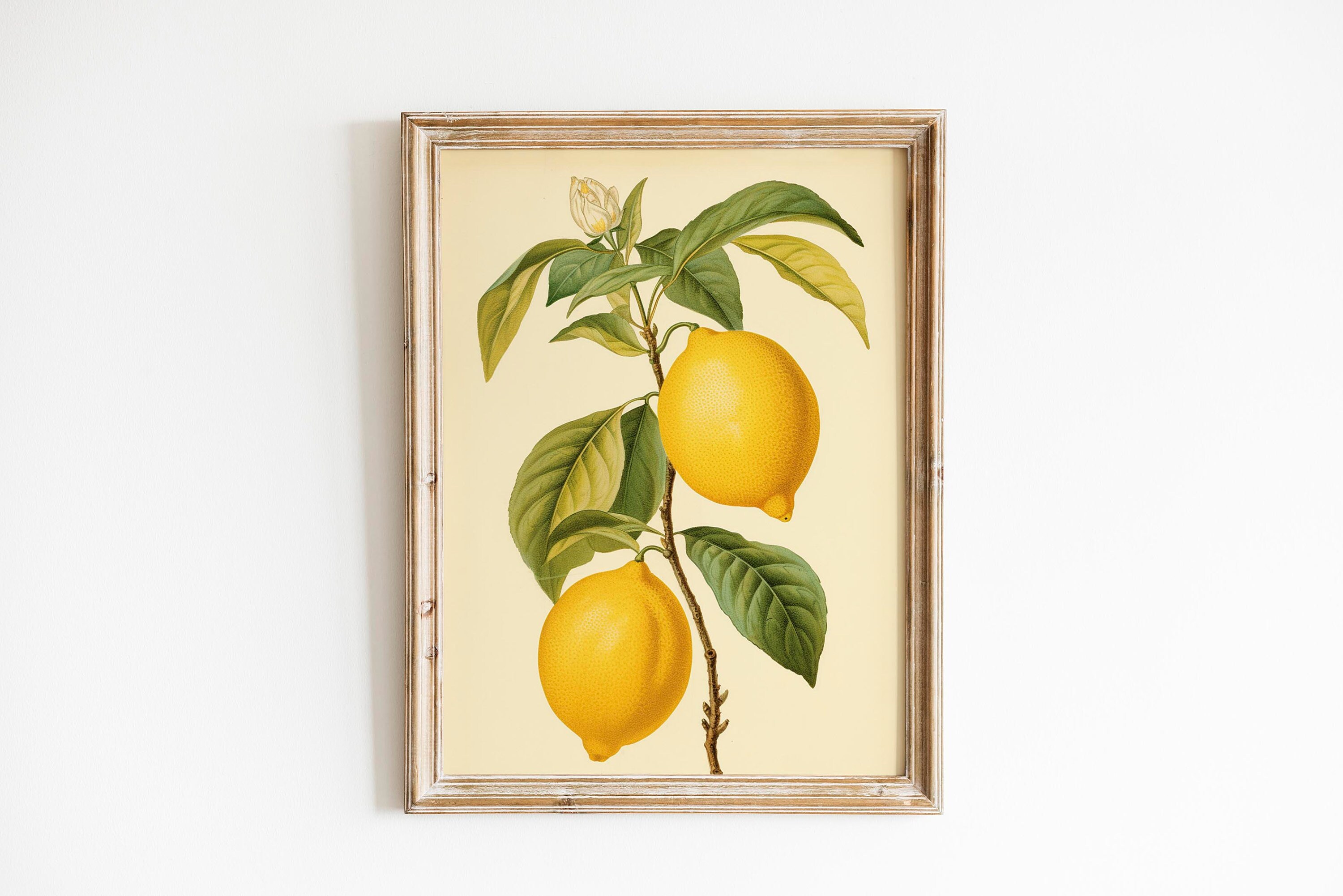 Vintage Lemon Tree Wall Art Kitchen Botanical Art Print Vegetarian Gift ...