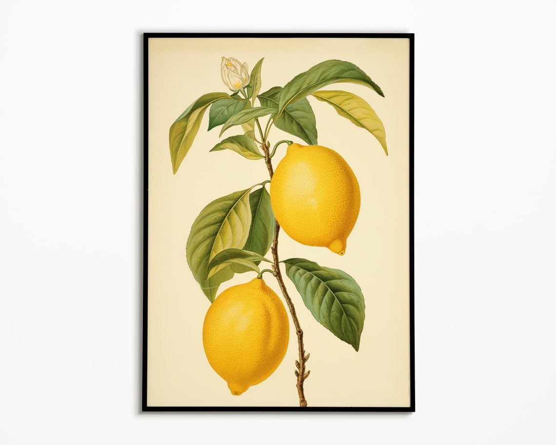 Vintage Lemon Tree Wall Art Kitchen Botanical Art Print Vegetarian Gift ...