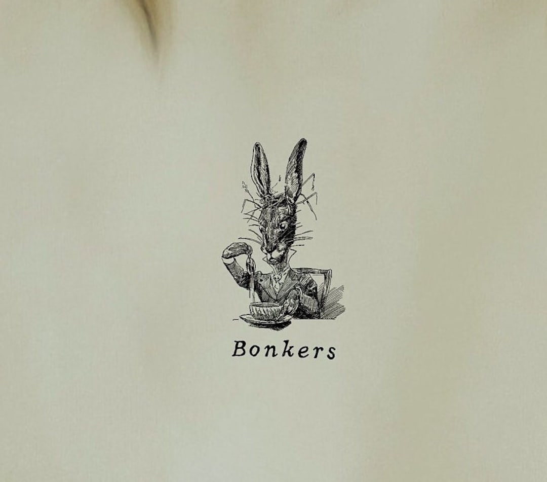 Retro, Bonkers, Rabbit Sweatshirt, Mad Hatter, Alice in Wonderland - Etsy