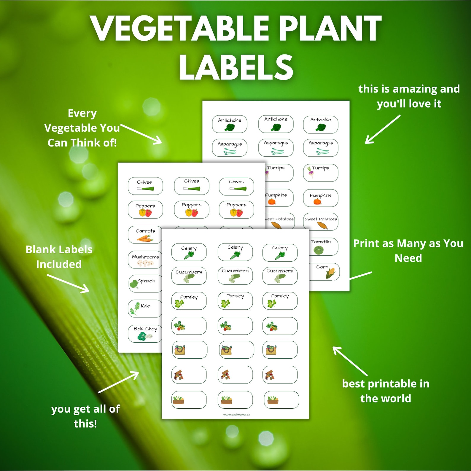 Stickers for Vegetable Plant Markers, Printable Plant Labels, Printable ...