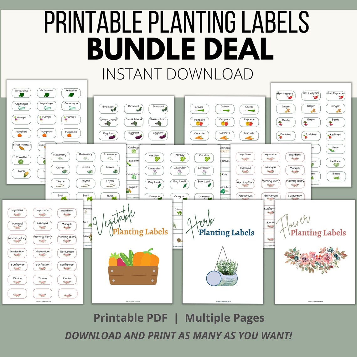 Printable Garden Labels, Vegetable Labels, Vegetable Stickers, Flower ...