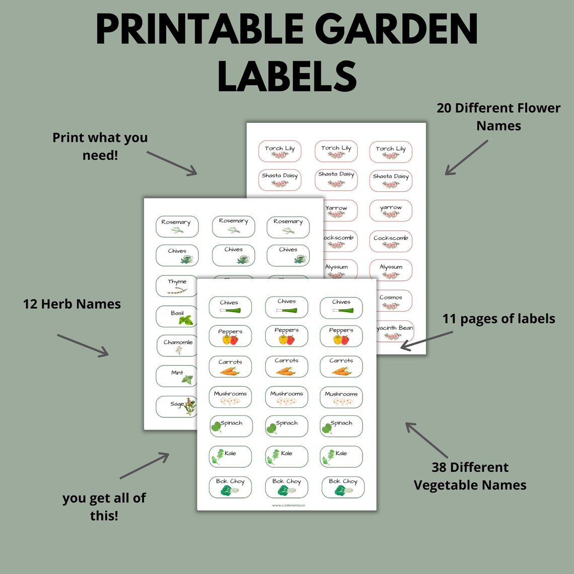Printable Garden Labels, Vegetable Labels, Vegetable Stickers, Flower ...