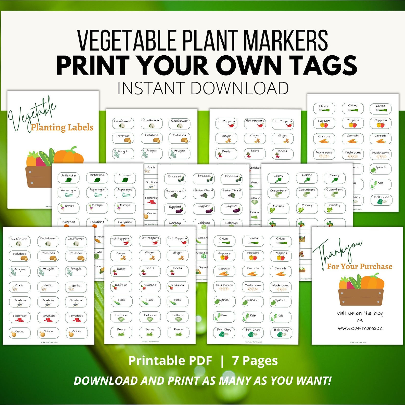 Stickers for Vegetable Plant Markers, Printable Plant Labels, Printable ...