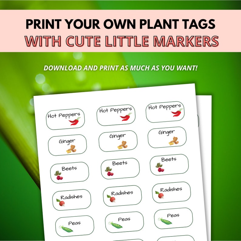 Stickers for Vegetable Plant Markers, Printable Plant Labels, Printable ...