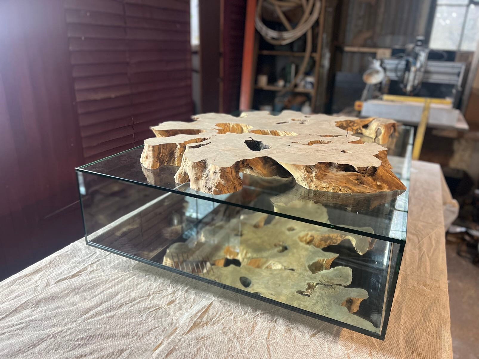 Glass Coffee Table With Tree Stump - Etsy