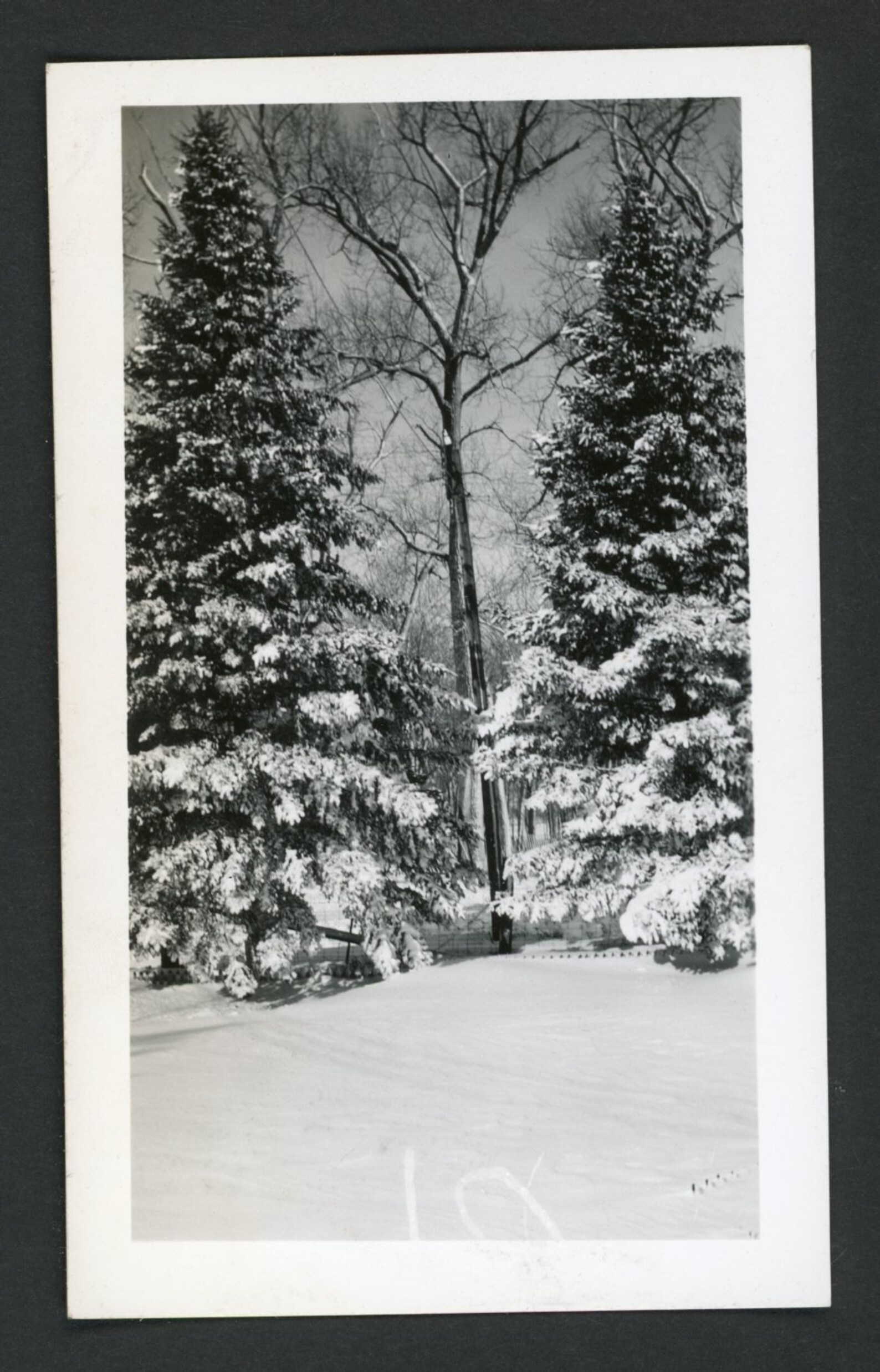 Winter Wonderland Snow Covered Landscape Pine Trees Winter Original ...
