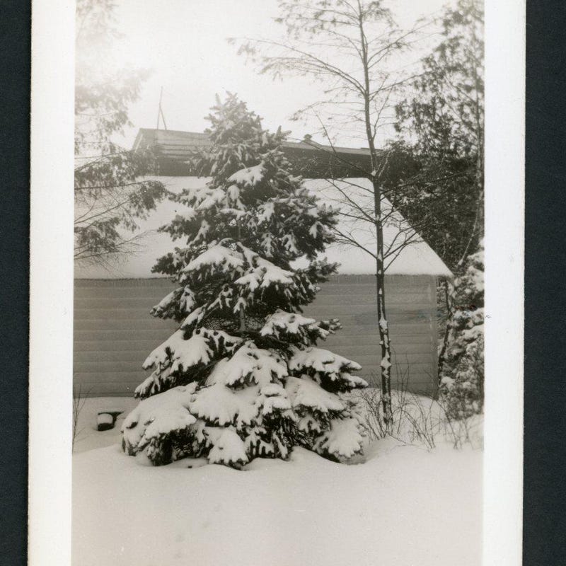 1940s Christmas Snapshot - Etsy