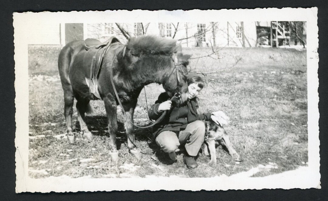 Horse Nuzzle Smiling Teen Girl With Affectionate Pony and Dog Original ...