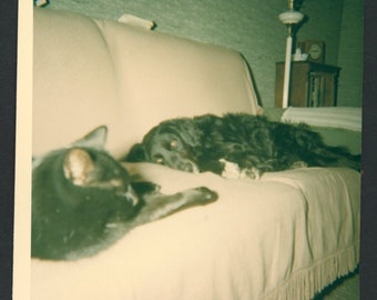 Neil Diamond Hair Man & Pretty Girls Vintage Color Snapshot - Etsy