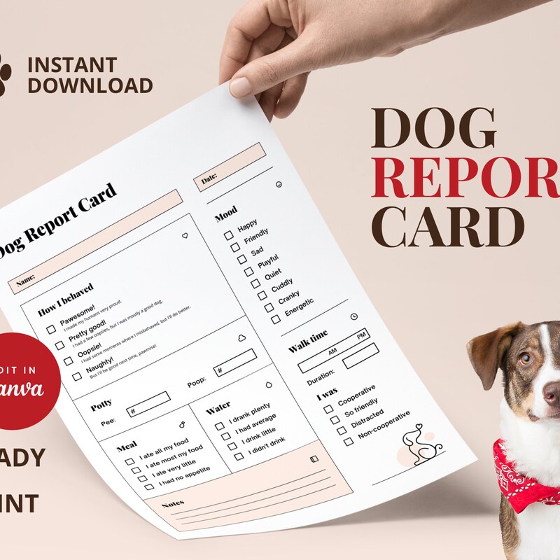 Dog Report Card - Etsy