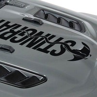 Phoenix Bird Hood Decal for Car or Truck | Large Firebird Vinyl Sticker ...