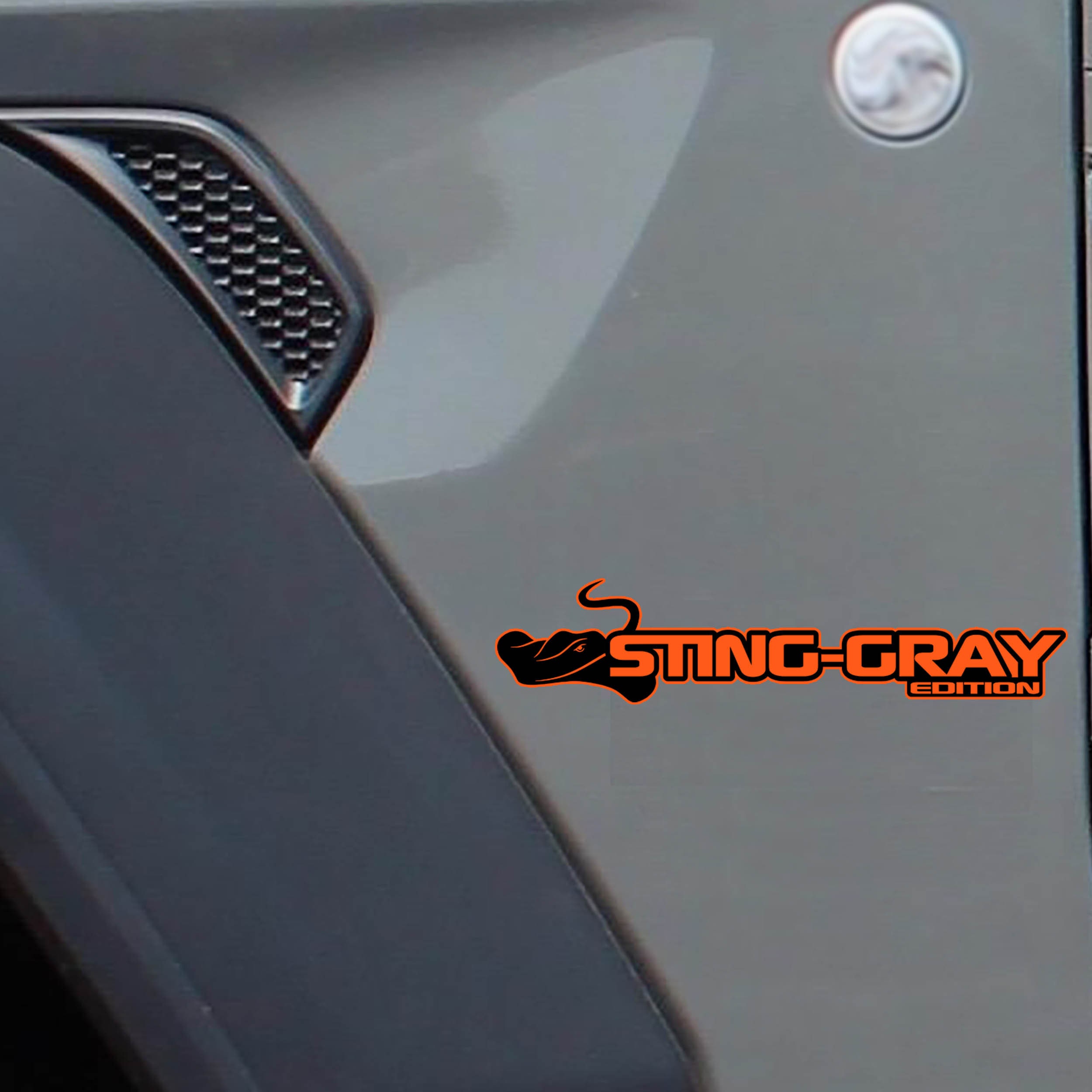 Sting-gray 2 Color Vinyl Fender Decal Set Custom Off-road Graphics for ...