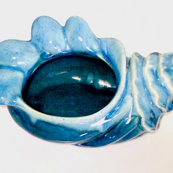 Conch Shell Planter - Etsy