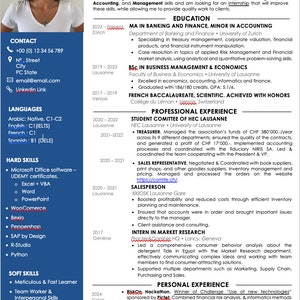 Business CV Template Eu/europe. Complete With All Required Information ...