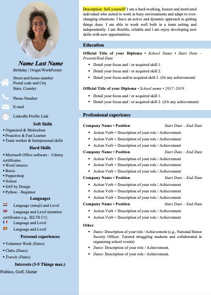 Business CV Template Suisse/switzerland. Complete With All of the ...