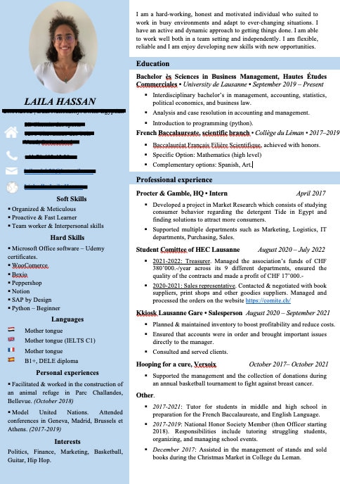 Business CV Template Suisse/switzerland. Complete With All of the ...