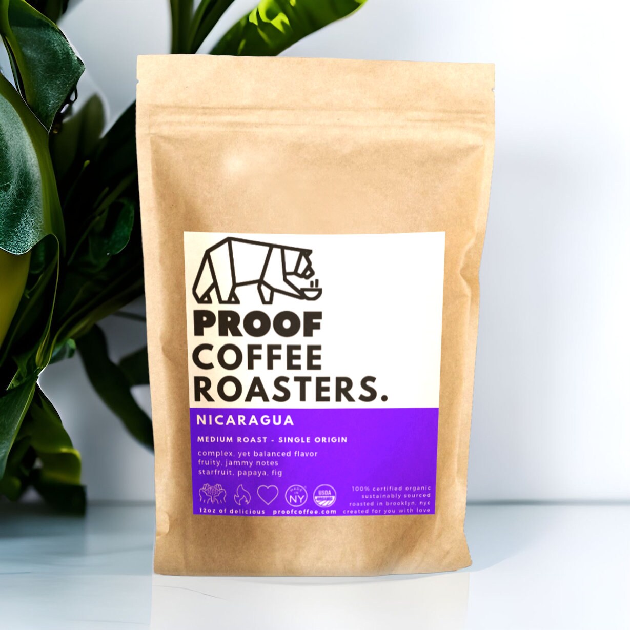 100% Certified Nicaragua Single-origin Coffee | Specialty Coffee Fresh ...