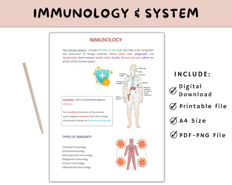 Immune System Study Notes- Anatomy and Physiology- Immunity- Med Surg ...
