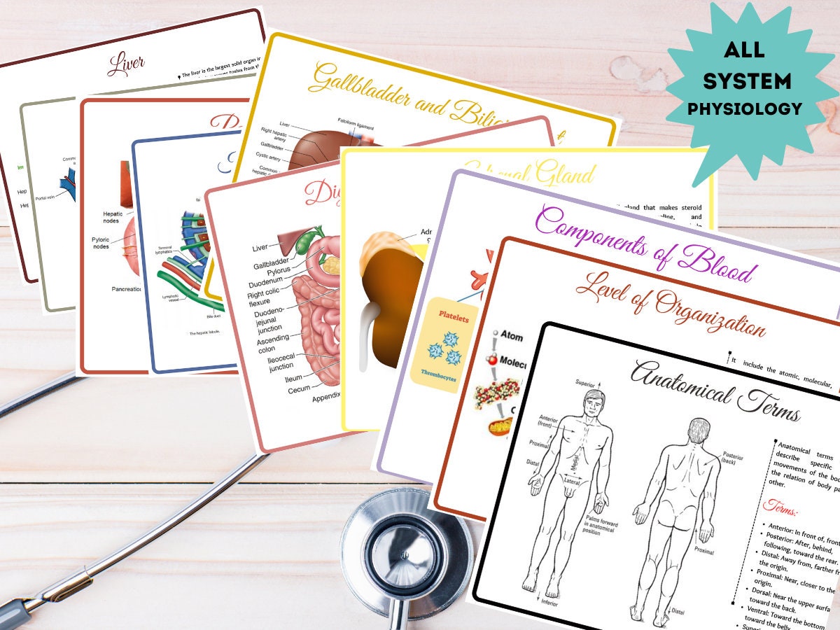 Anatomy & Physiology Flashcards-anatomy Study Guide- 55+ Topics ...