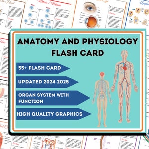 Anatomy & Physiology Flashcards-anatomy Study Guide- 55+ Topics ...