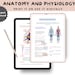Complete Anatomy and Physiology Nursing, Anatomy Study Guide, Anatomy ...