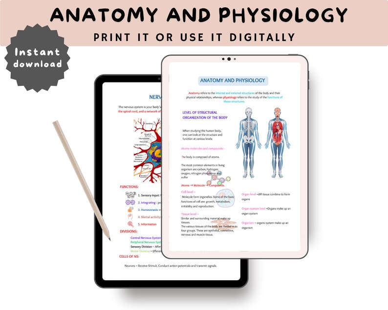 Complete Anatomy and Physiology Nursing, Anatomy Study Guide, Anatomy ...