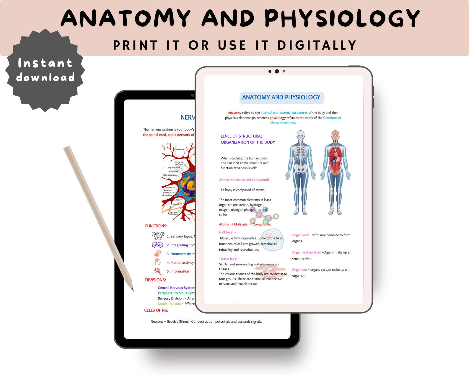 Complete Anatomy and Physiology Nursing, Anatomy Study Guide, Anatomy ...