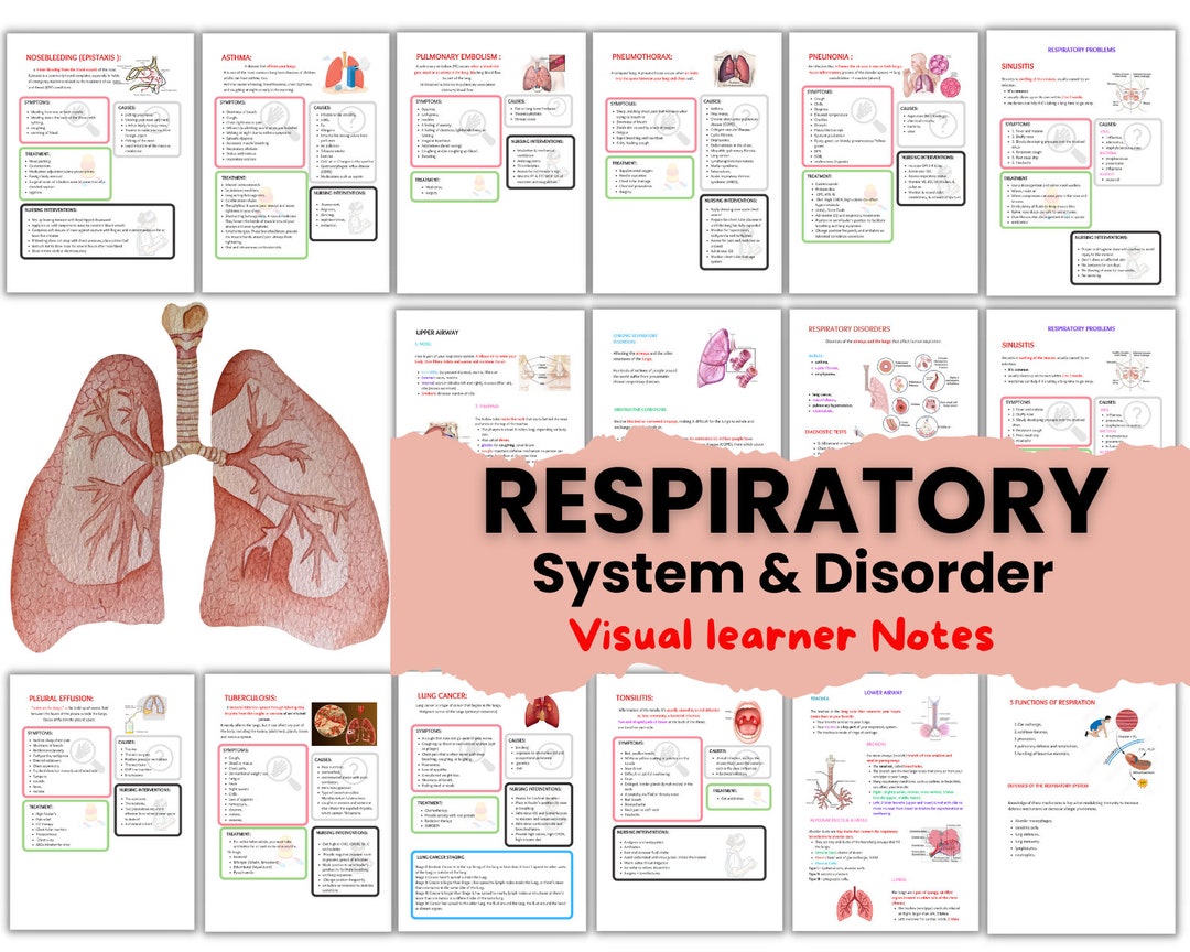 Respiratory System Disorders, Med Surg, Pharmacology Notes, Nursing ...
